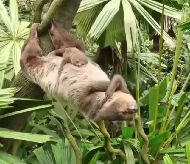 코어힘이 있어야 게으름도 가능하다 - 에누리 쇼핑지식 자유게시판