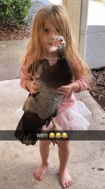 밖에서 이상한 걸 잡아온 딸내미 - 에누리 쇼핑지식 자유게시판