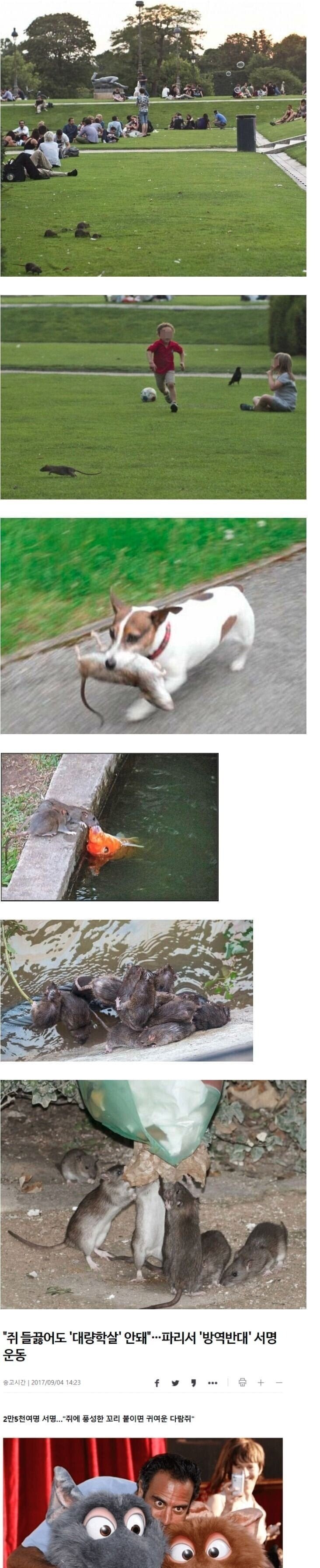 에펠탑 주변 현실 - 에누리 쇼핑지식 자유게시판