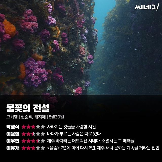 이번주 개봉작 20자평&별점 - 에누리 쇼핑지식 자유게시판