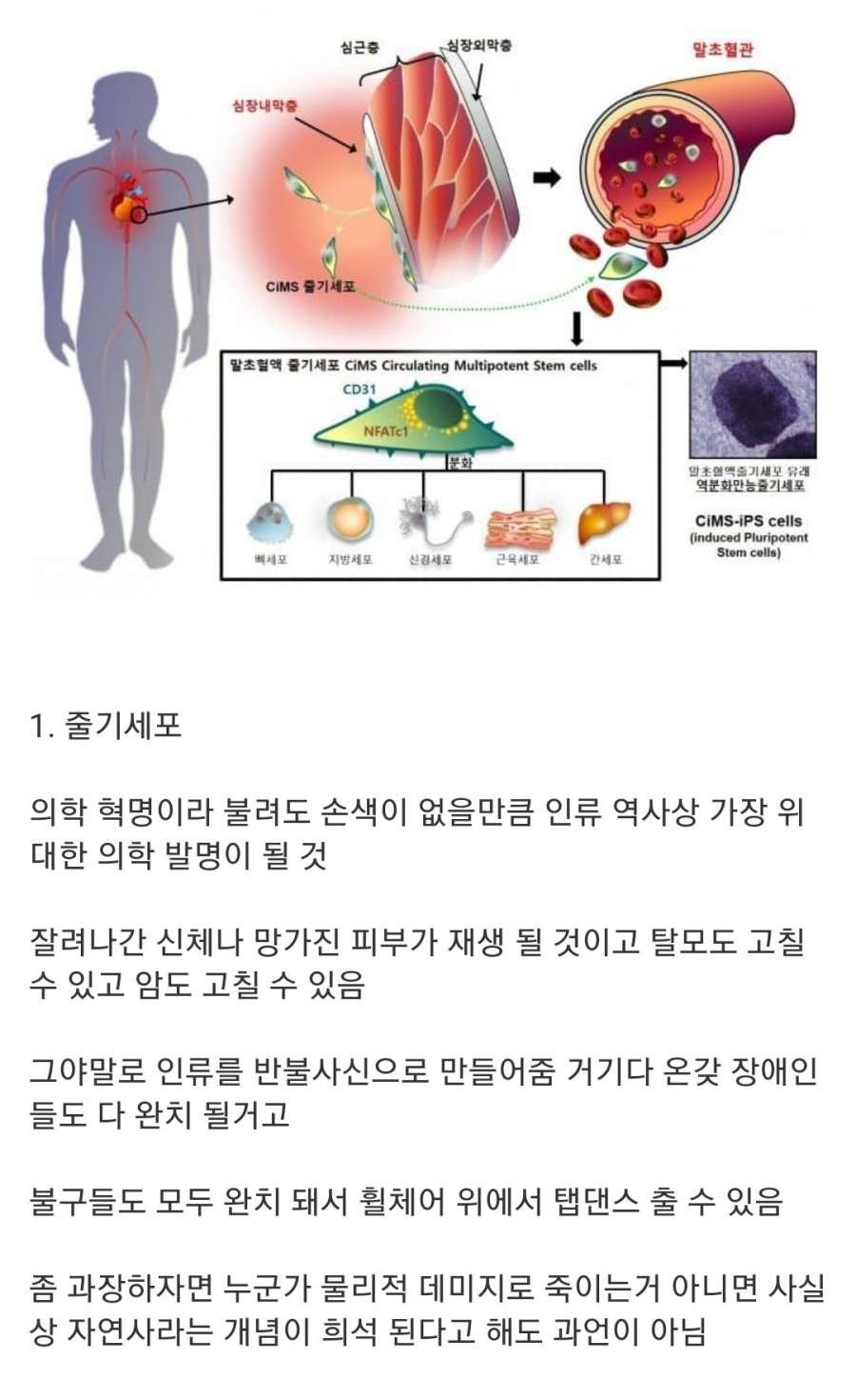 만들면 인류를 완전히 바꿀 발명품 3가지 - 에누리 쇼핑지식 자유게시판