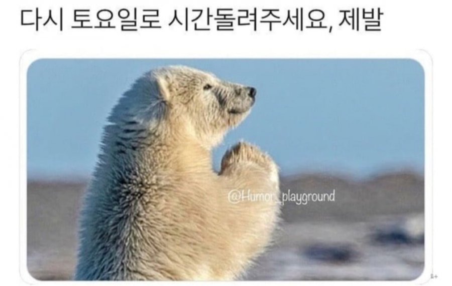 모든 직장인들의 바램 - 에누리 쇼핑지식 자유게시판