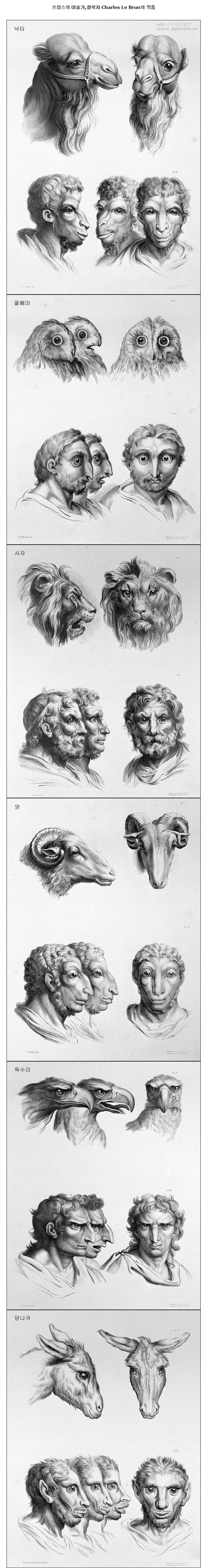 다른 동물들이 인간으로 진화했다면 - 에누리 쇼핑지식 자유게시판