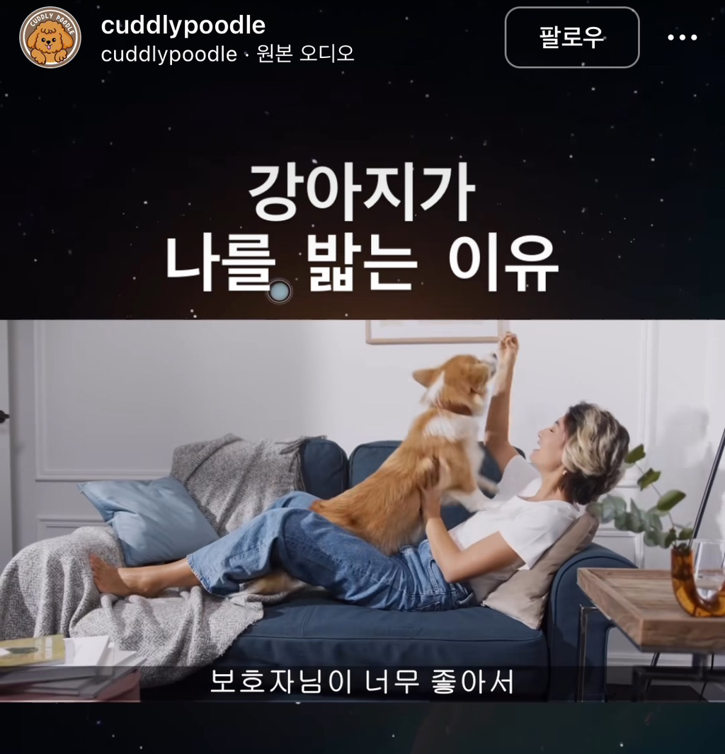 강아지가 나를 밟는 이유 - 에누리 쇼핑지식 자유게시판