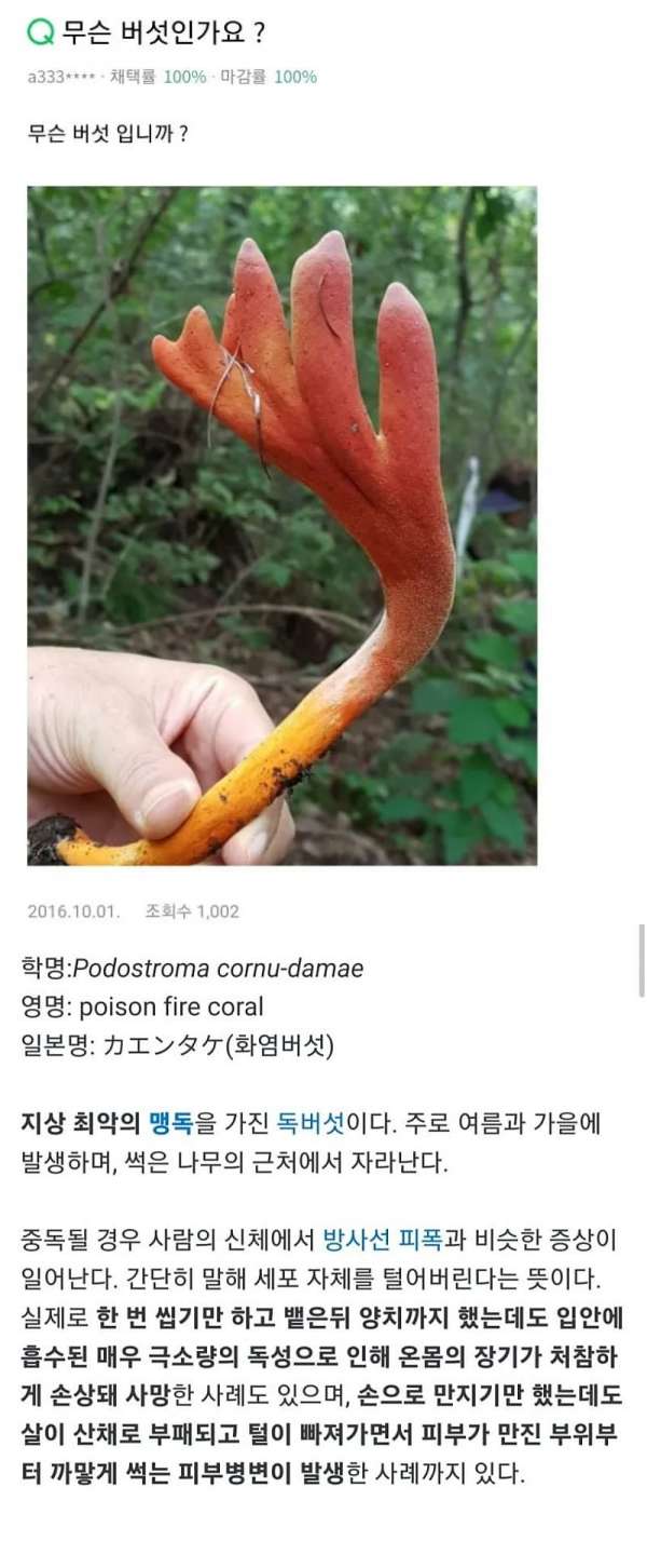 생사가 궁금해지는 네이버 지식인 - 에누리 쇼핑지식 자유게시판