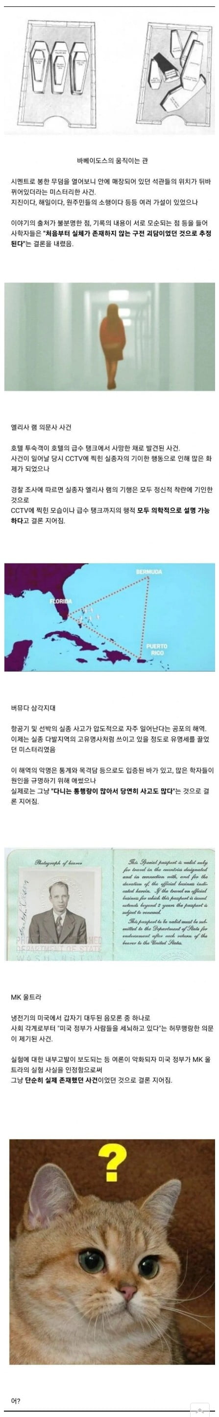 싱글벙글 음 모론 - 에누리 쇼핑지식 자유게시판