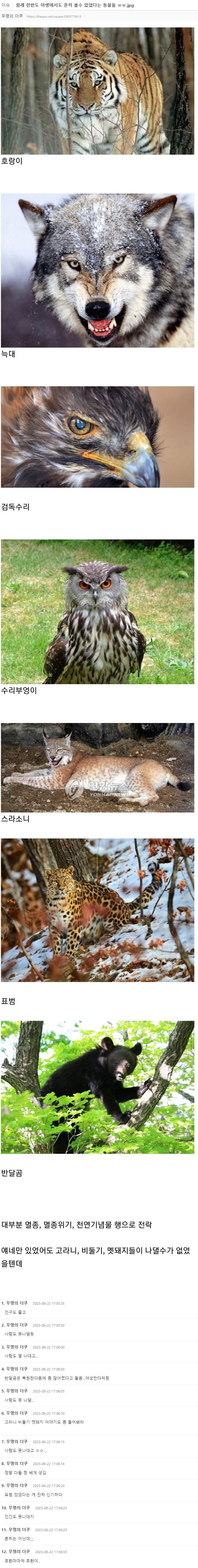 한반도에 살던 동물들이 사라져서 너무 슬프다는 사람 - 에누리 쇼핑지식 자유게시판