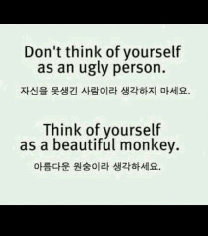 그게 그거 아닌가요 - 에누리 쇼핑지식 자유게시판