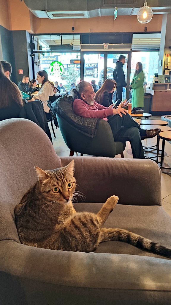 튀르키예 스타벅스 가면 종종 겪는 일 - 에누리 쇼핑지식 자유게시판