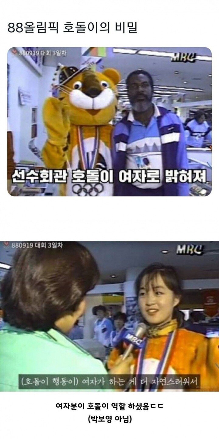 88올림픽 호돌이의 비밀 - 에누리 쇼핑지식 자유게시판