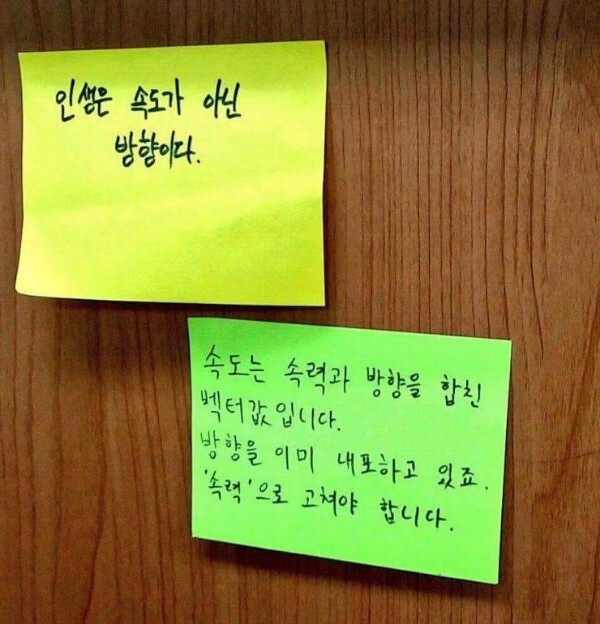 인생은 속도가 아닌 방향이다 - 에누리 쇼핑지식 자유게시판