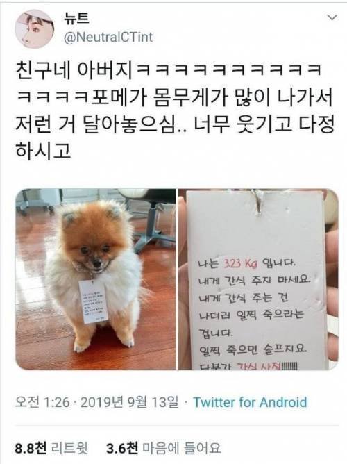 살찐 포메의 최후 - 에누리 쇼핑지식 자유게시판