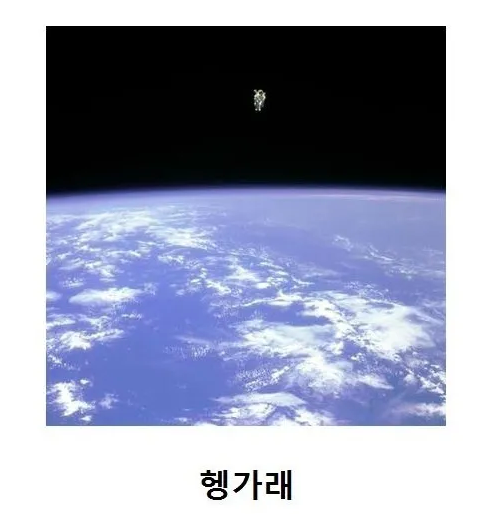 헹가래 - 에누리 쇼핑지식 자유게시판