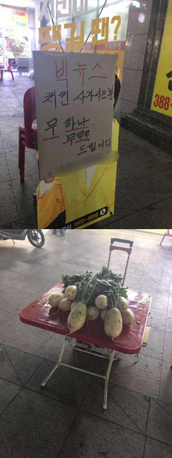 치킨 사가면 무를 무료로 주는 치킨집 - 에누리 쇼핑지식 자유게시판