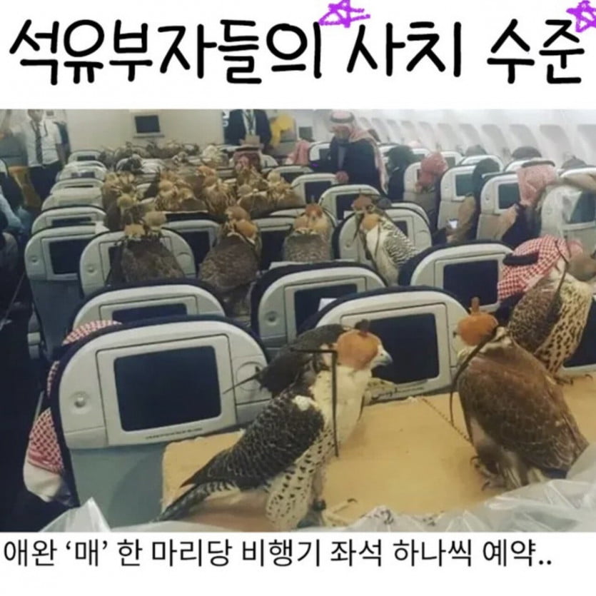 오일머니의 좌석 - 에누리 쇼핑지식 자유게시판
