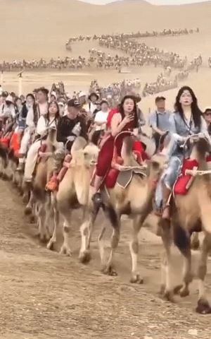 대륙의 사막투어 - 에누리 쇼핑지식 자유게시판