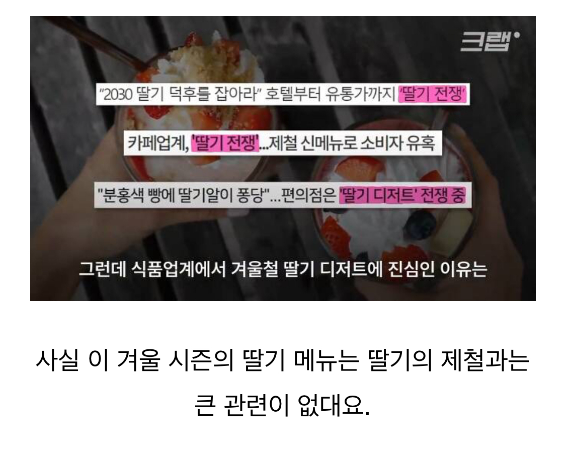 딸기 제철이 겨울이라고 착각하는 가장 큰 이유 - 에누리 쇼핑지식 자유게시판