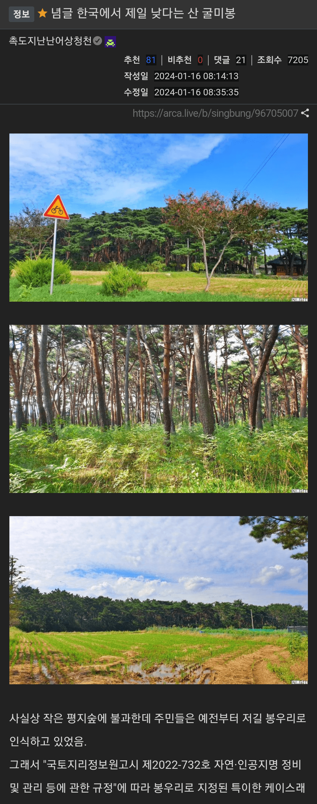 한국에서 제일 낮다는 산 굴미봉 - 에누리 쇼핑지식 자유게시판