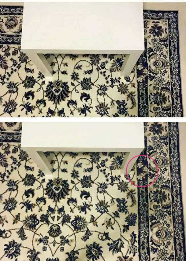 물건 분실 ㄹㅈㄷ - 에누리 쇼핑지식 자유게시판