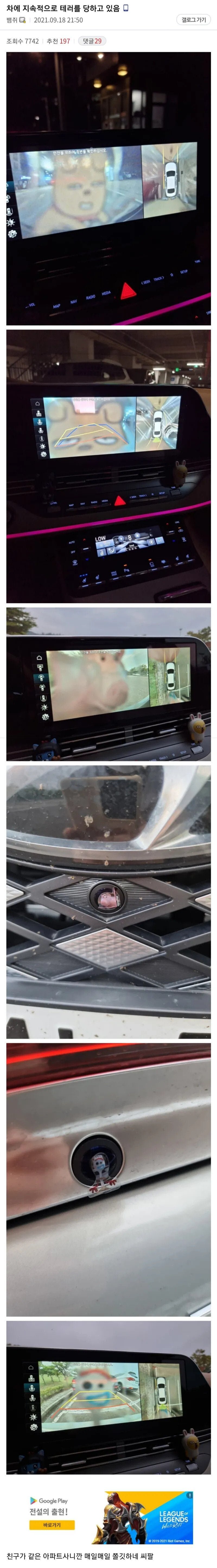 차에 지속적인 테러를 당했던 디시인 - 에누리 쇼핑지식 자유게시판