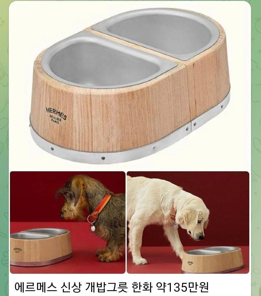 135만원짜리 에르메스 개밥그릇 근 황 - 에누리 쇼핑지식 자유게시판