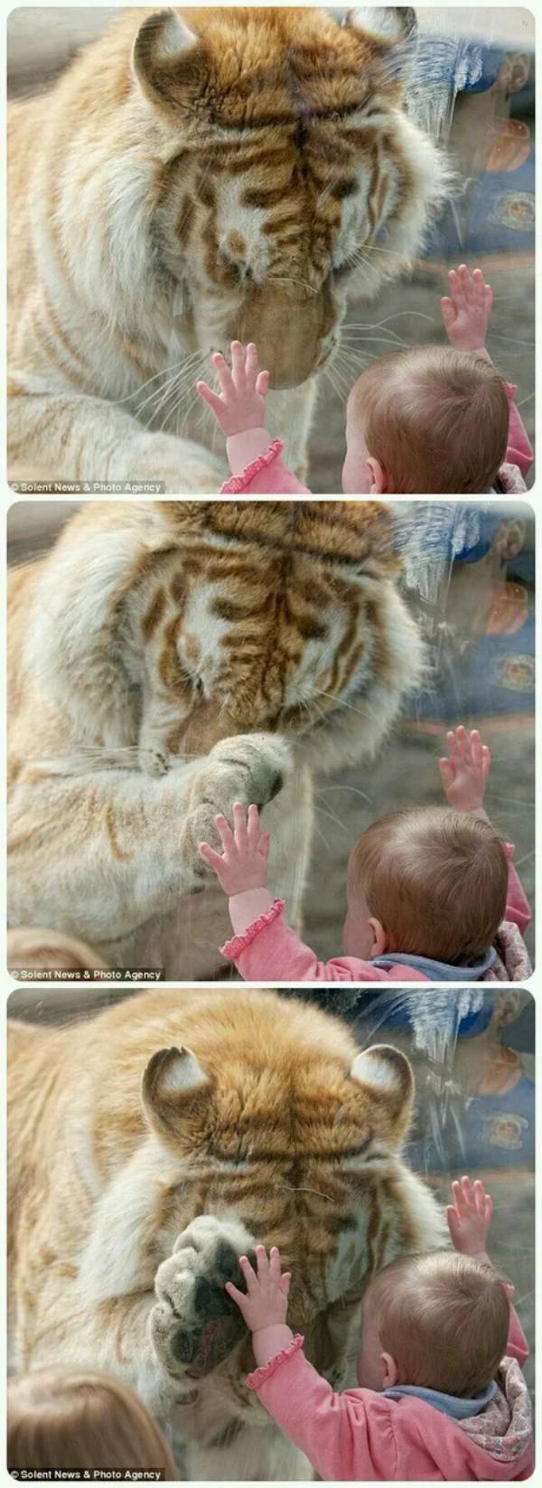 하이파이브 - 에누리 쇼핑지식 자유게시판