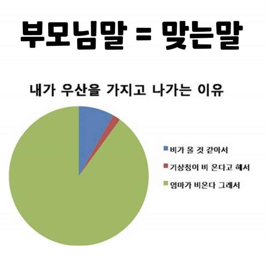 내가 우산을 가지고 나가는 이유 에누리 쇼핑지식 자유게시판
