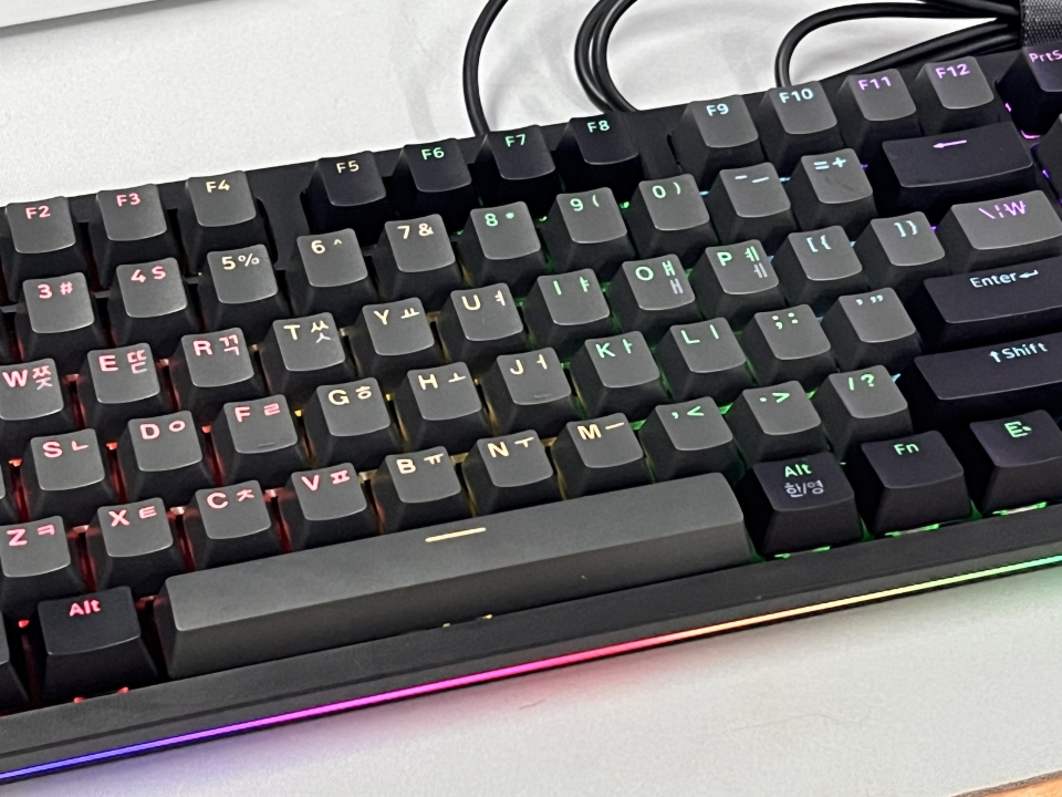 하단 RGB로 더 아름답다, 앱코 AN01T RGB BAR 텐키리스 기계식 키보드 - 에누리 쇼핑지식 뉴스