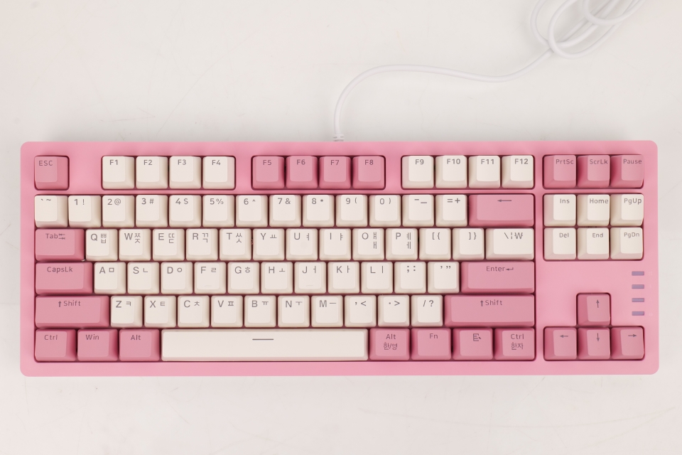 하단 RGB로 더 아름답다, 앱코 AN01T RGB BAR 텐키리스 기계식 키보드 - 에누리 쇼핑지식 뉴스